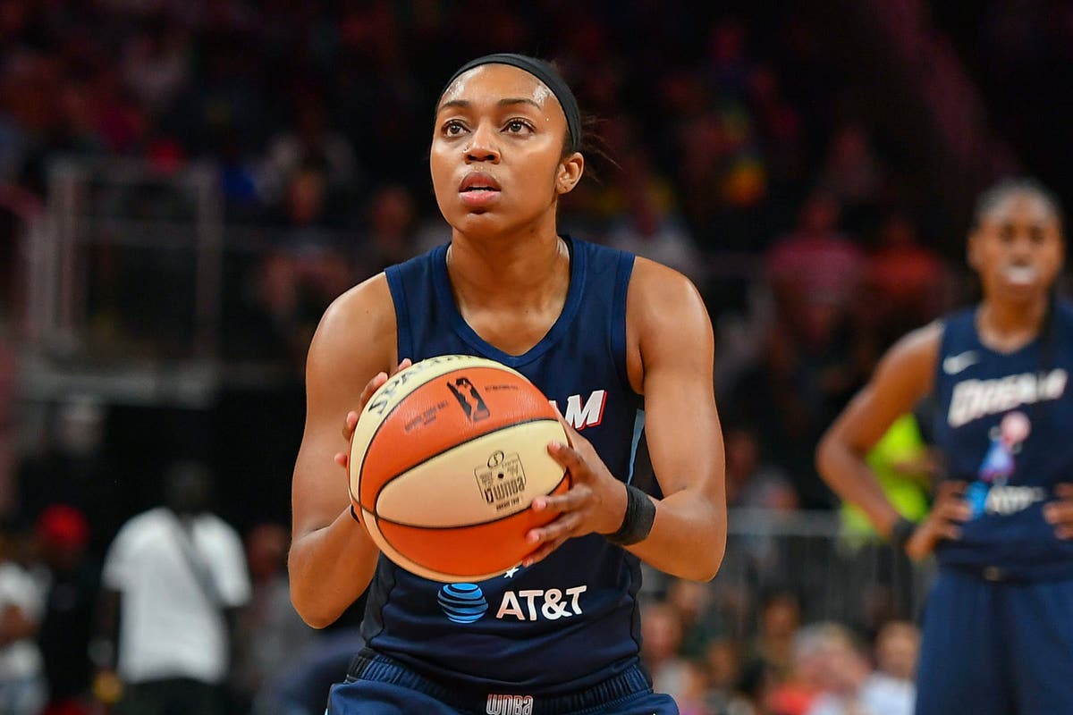 Renee Montgomery is now a co-owner of the Atlanta Dream