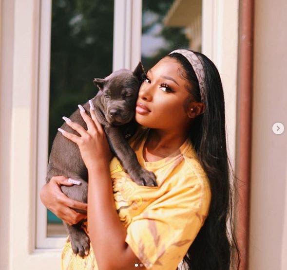 Megan Thee Stallion to host new pet series on Snapchat