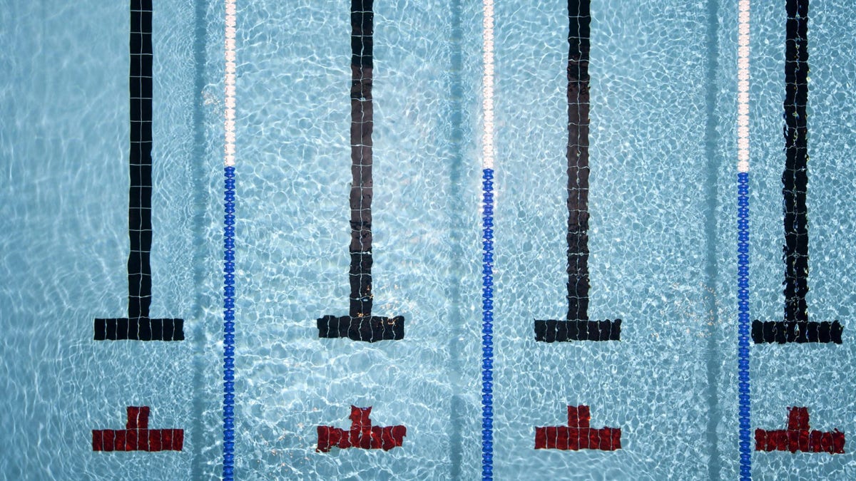 World swimming body bans transgender women from women's events