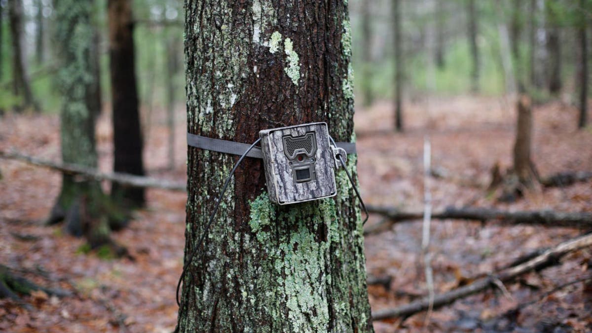 Rasheem Carter seen in trail camera photo on day he disappeared