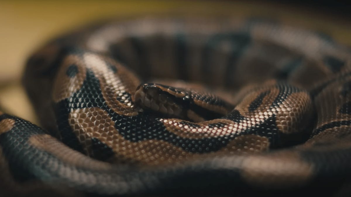 Check out the new visual for Young Thug and Drake's "Oh U Went"